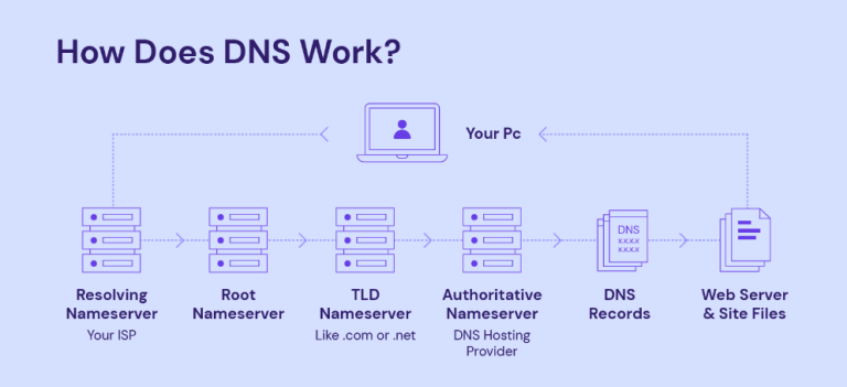 The Importance of DNS Explained: A Beginner's Guide - Offshorededi