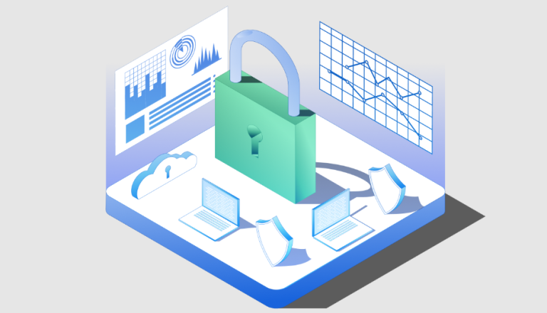 Privacy Management Essentials: Guarding Your Data - Offshorededi